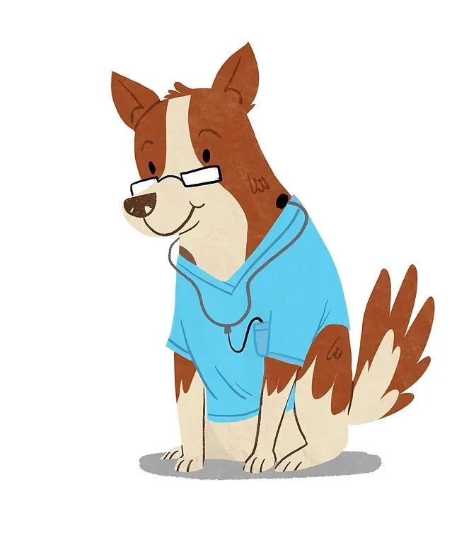 Veterinario a Domicilio en CDMX Ciudad de Mexico : Atención a tu Masco ...