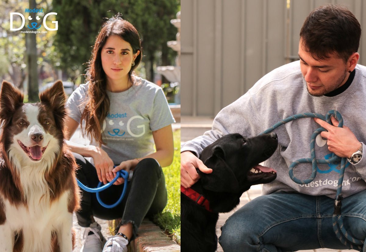 Adiestramiento Canino Los Angeles California New York City NYC Miami M ...