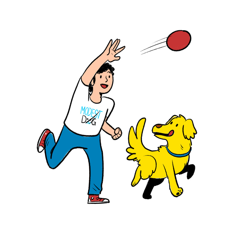 Adiestramiento Canino CDMX GDL MTY QRO VER PUE Entrenador de Perros ...