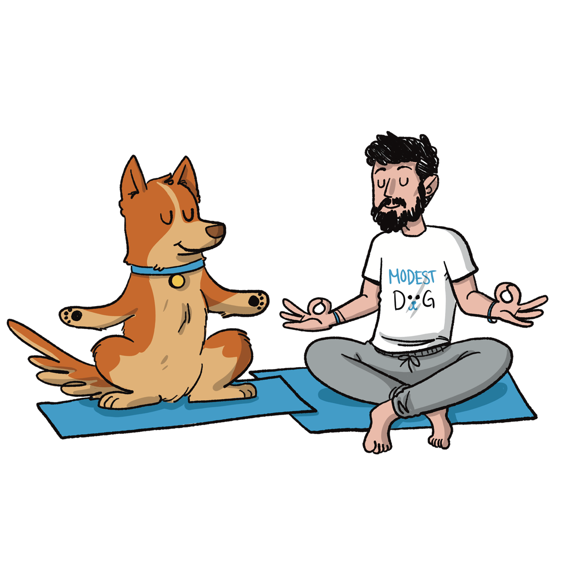 Adiestramiento Canino Cancun Tulum Playa del Carmen Los Cabos Puerto V ...