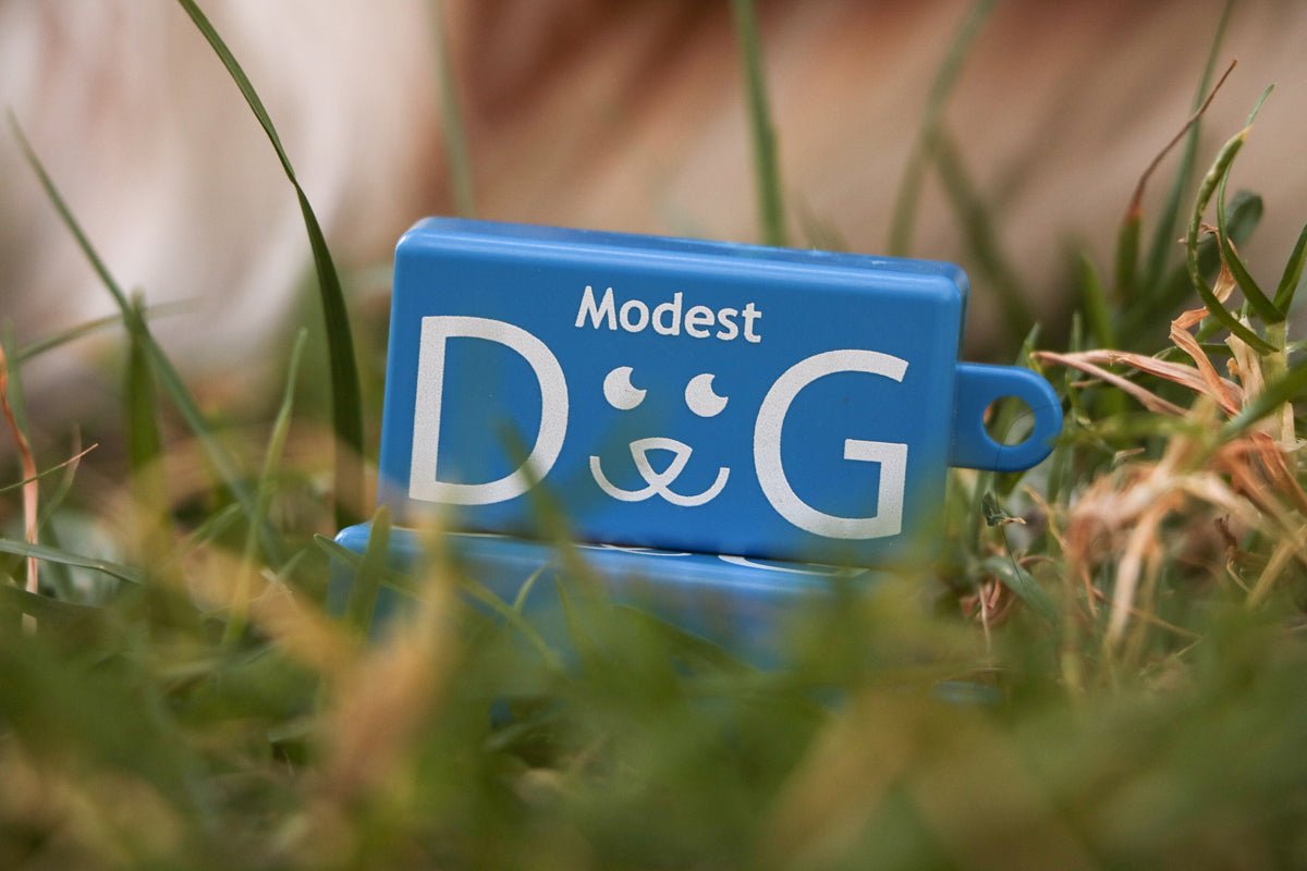 Clicker ModestDog – Modest Dog Adiestramiento Canino