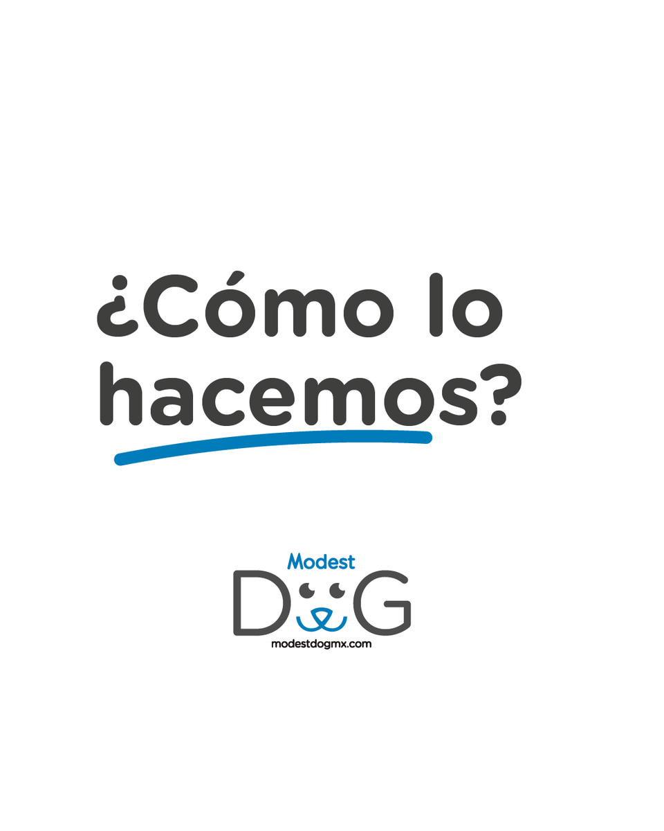 Adiestramiento Canino Puebla Perro de Apoyo Emocional Cholula Emotional ...