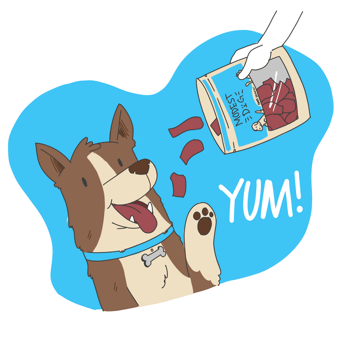 Modest Dog Super Foods Snacks/Premios Deshidratados – Modest Dog ...