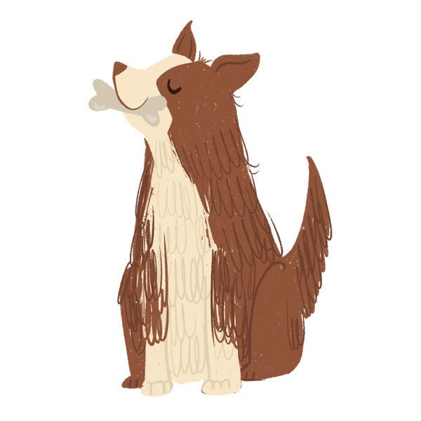 Dog Training Playa del Carmen Puerto Vallarta Acapulco Dog Trainer ...