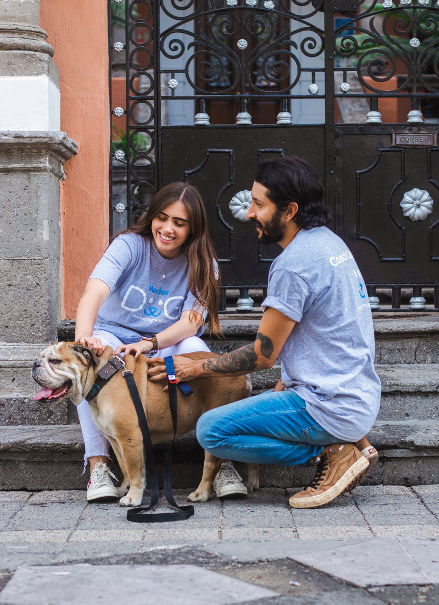 El Mejor Entrenador de Perros Guadalajara, QRO MTY CDMX VER PUE Curso ...
